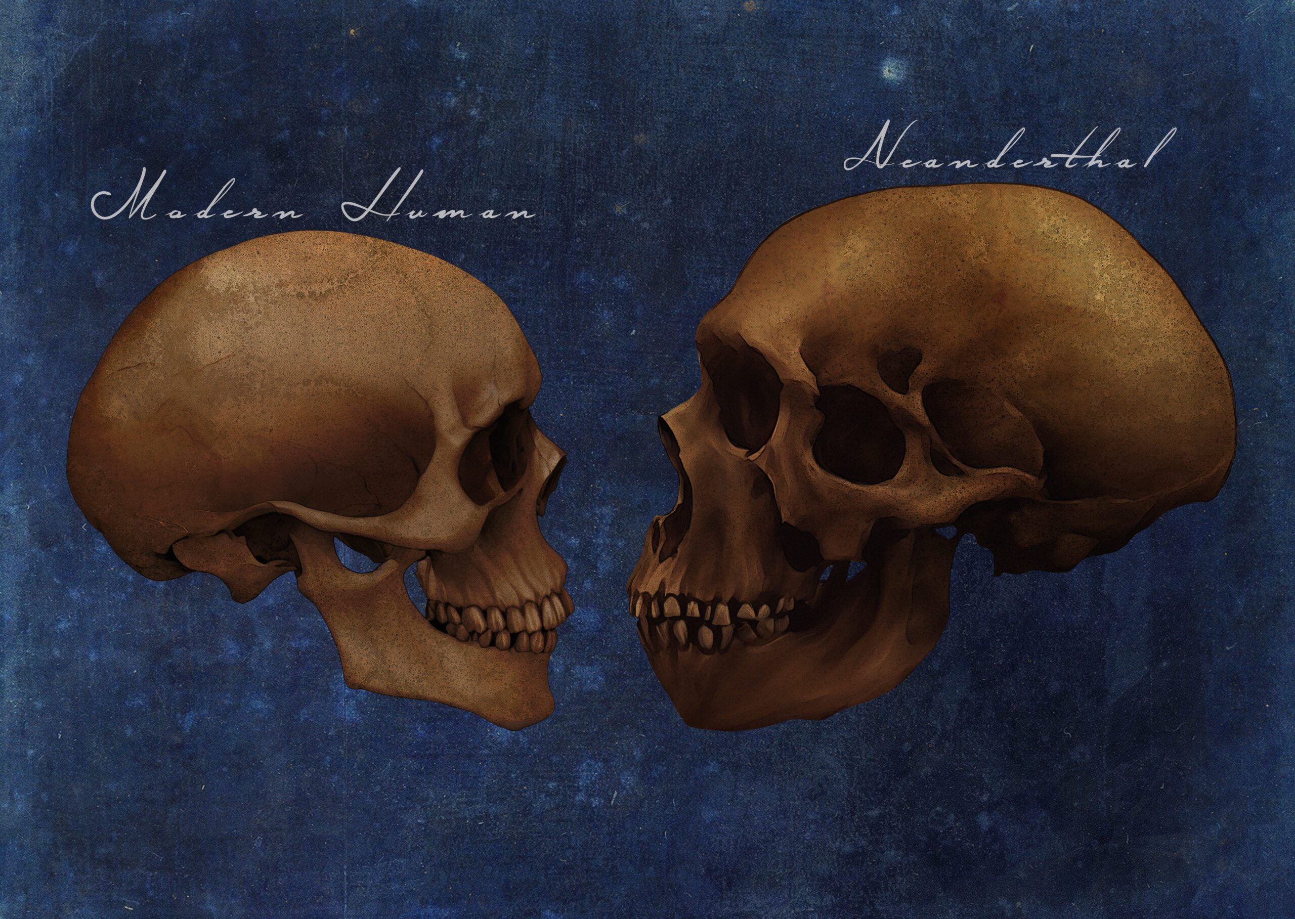 Study implicates Neanderthal DNA in autism susceptibility | Clemson News