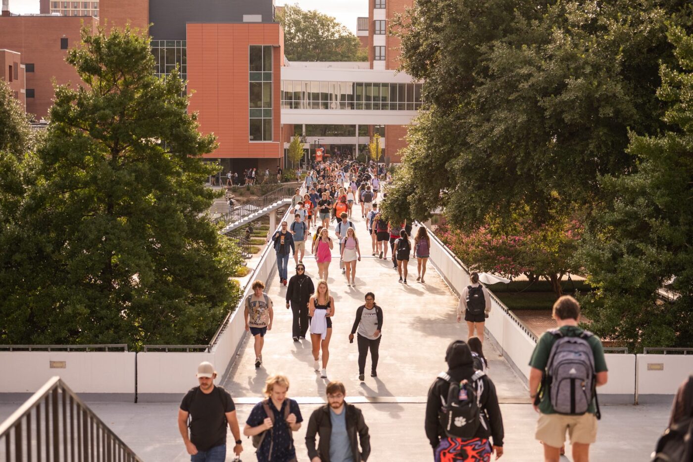 Division of Marketing and Communications updates Clemson University’s ...