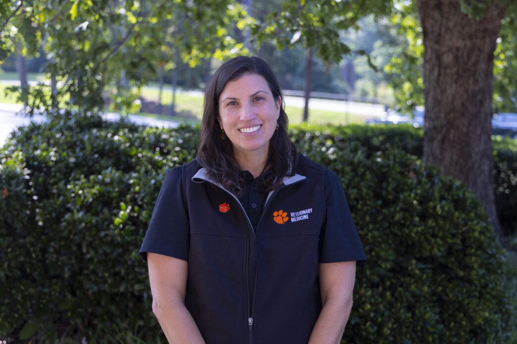Clemson News | Clemson News
