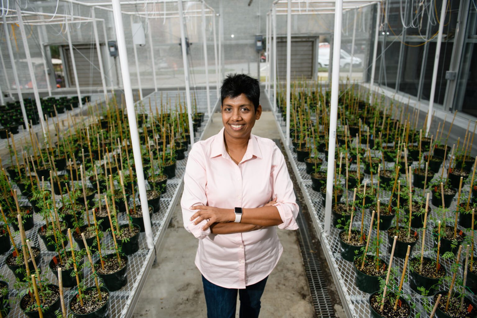 Clemson Writing Lab celebrates 40 years of helping students connect ...