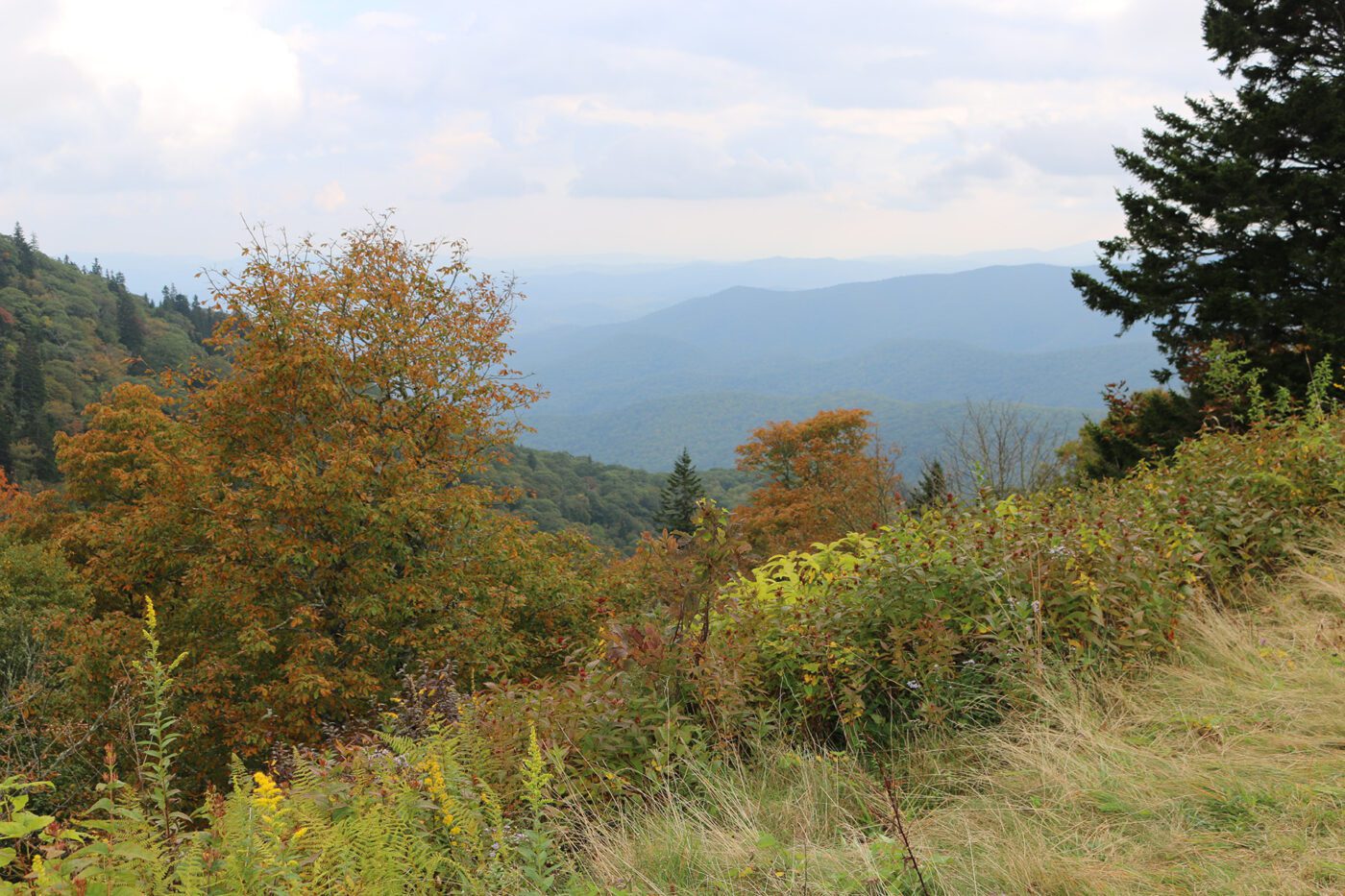 Get soil tested at Clemson Ag Service Lab | Clemson News