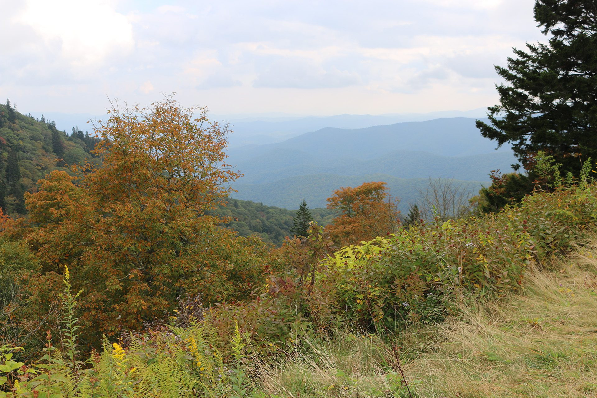Get soil tested at Clemson Ag Service Lab | Clemson News