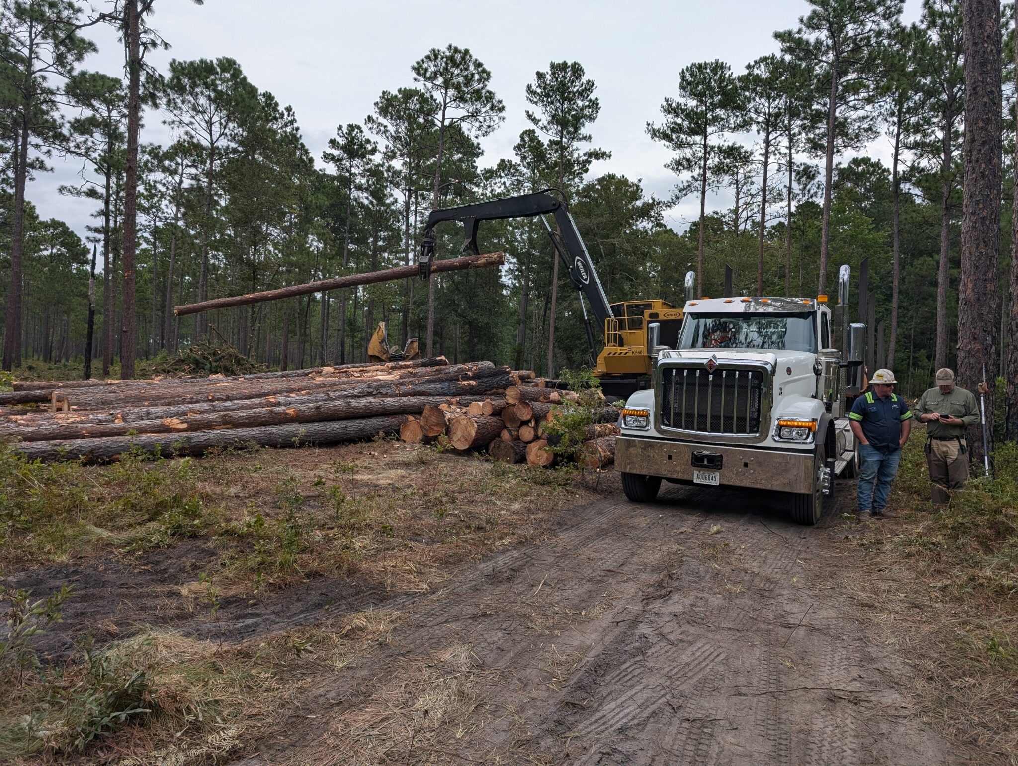 South Carolina pesticide regulators offer online license renewal ...